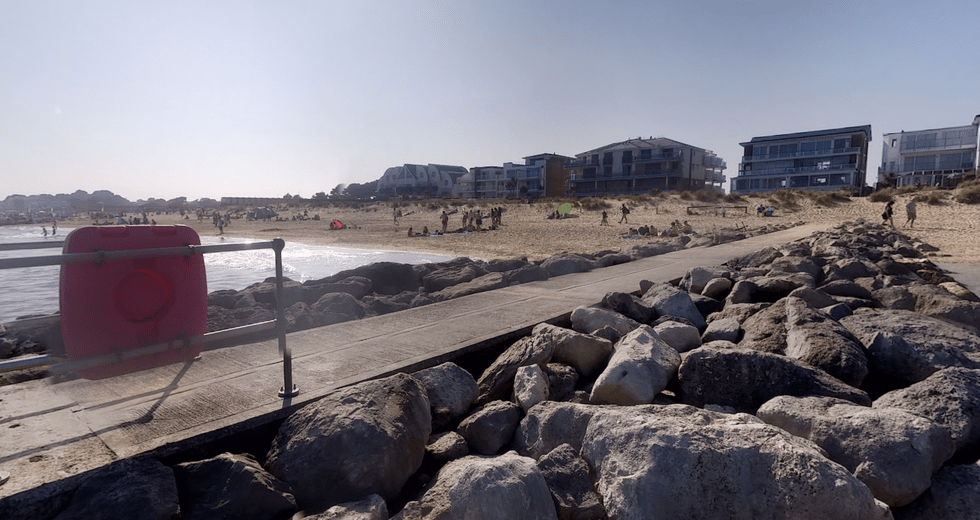 Hero dog saved widower, 71, after owner suffered cardiac arrest at beach