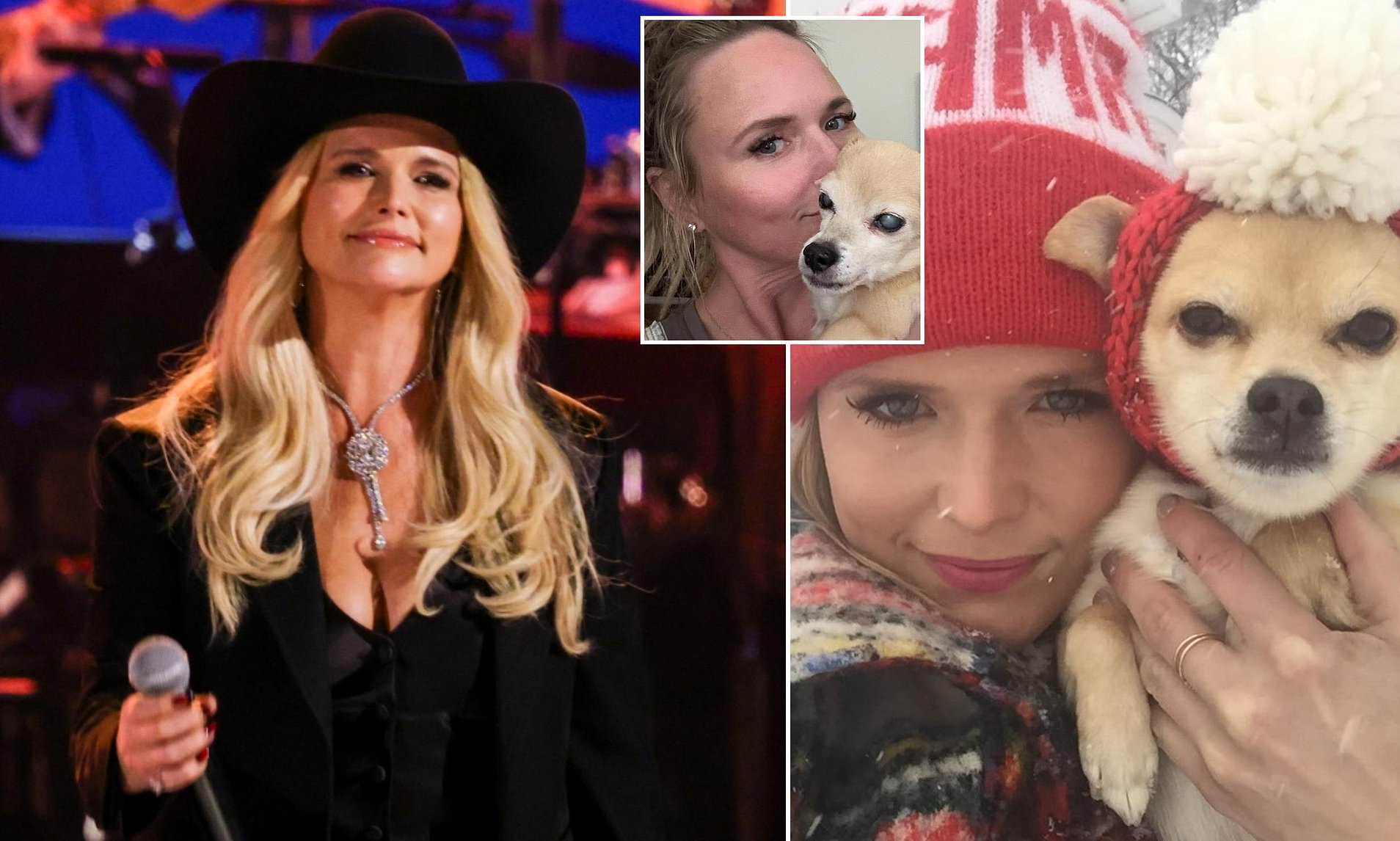 Miranda Lambert mourns longtime rescue dog who passed away: 'Thank you ...
