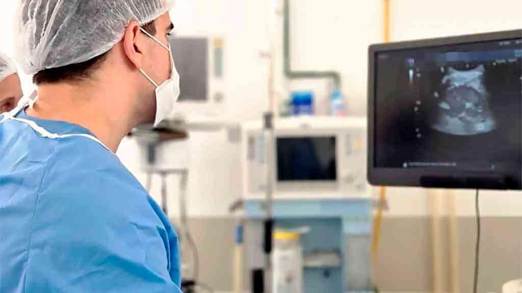 Estudo mostra alternativa para detecção do câncer de próstata