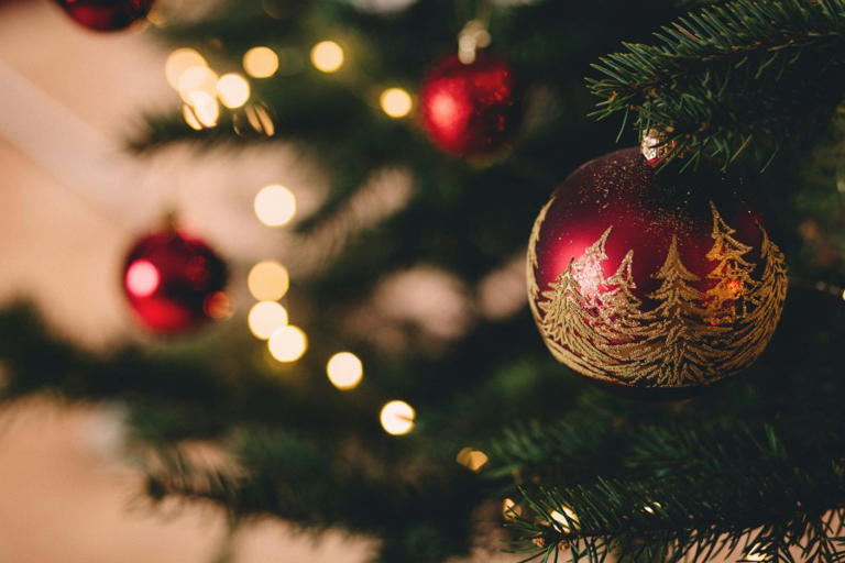 List: Where to recycle your Christmas tree, holiday lights in the ...