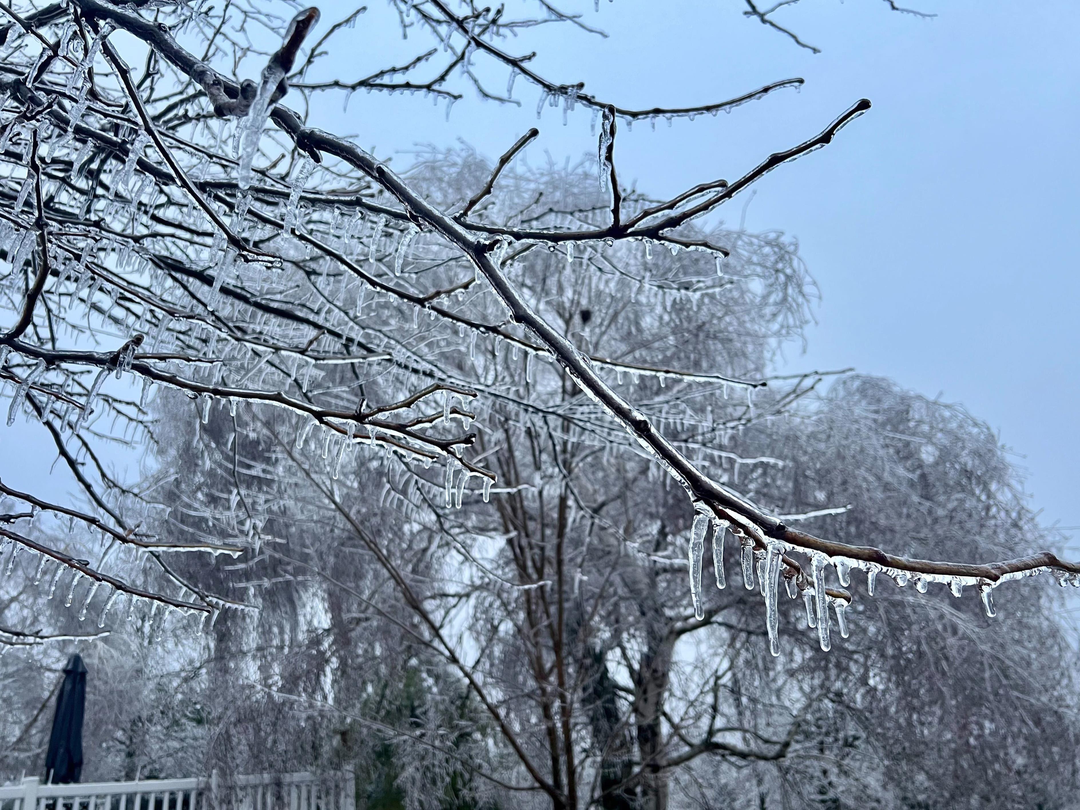 Après la pluie verglaçante, 11 000 clients d’Énergie NB privés d ...
