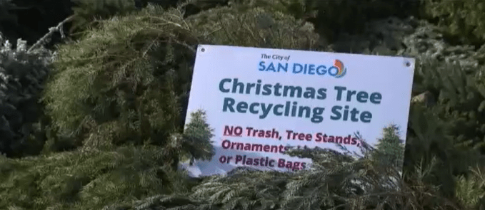 Recycle your Christmas tree at San Diego’s drop-off sites