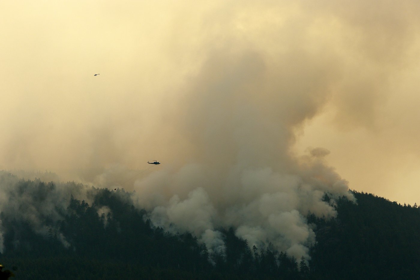 BC wildfire season scorched more than 8,800 square kilometres