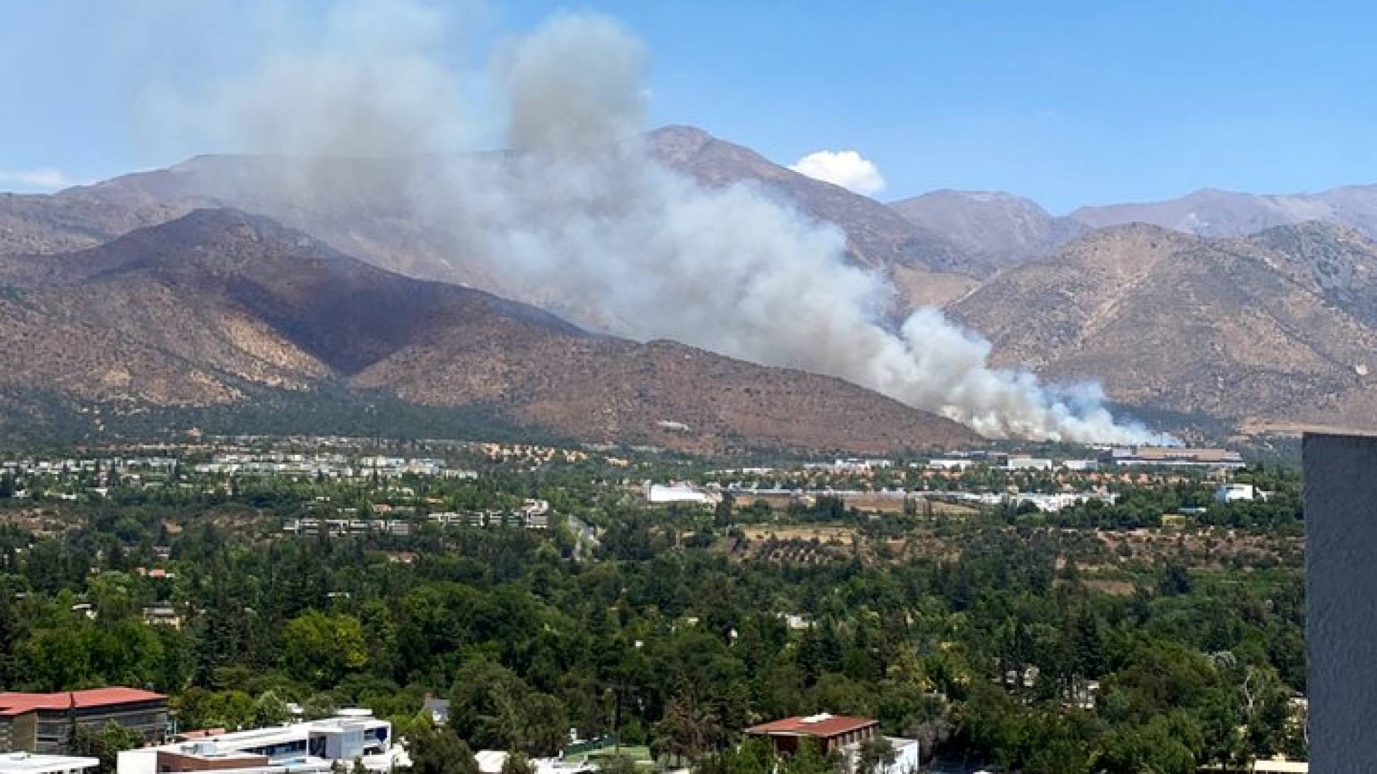 Reportan incendio forestal a un costado del Claro Arena