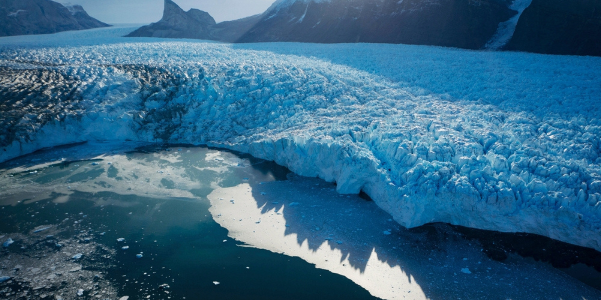 Scientists discover rich ecosystem in the deep Arctic