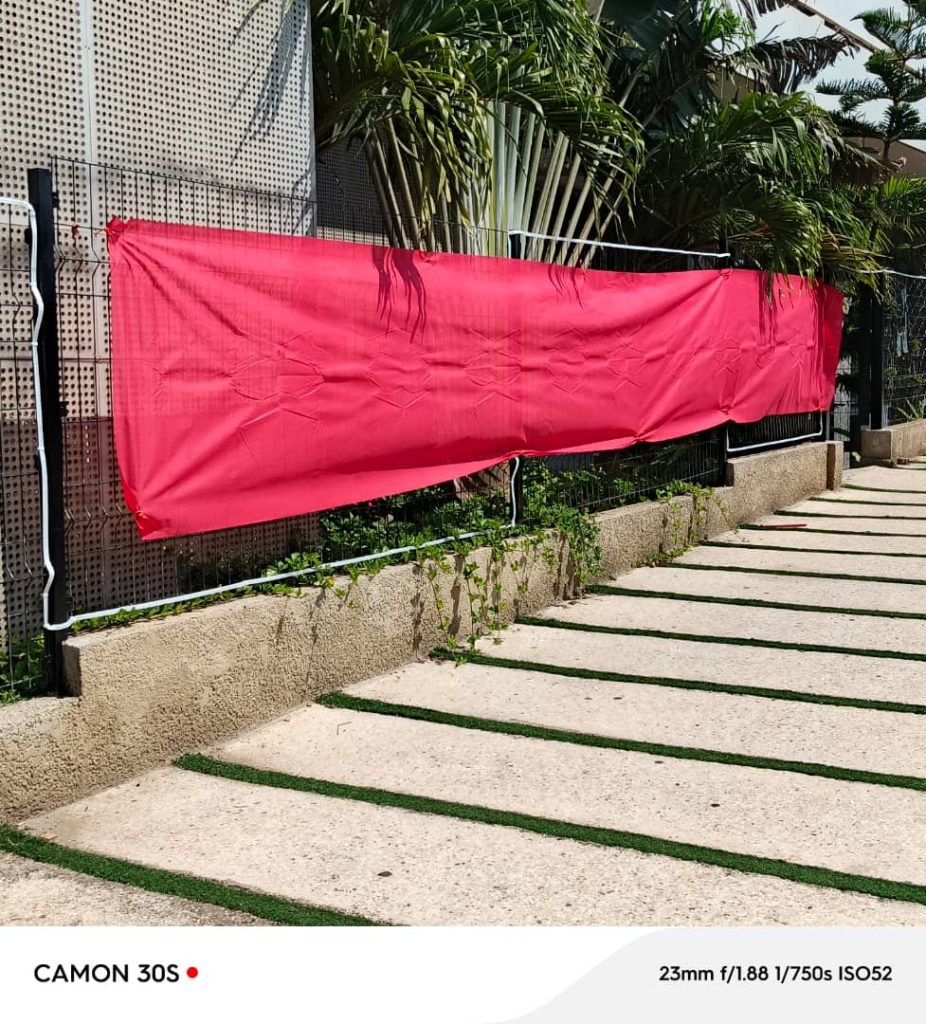 ECG staff hoist red flags to protest planned privatisation