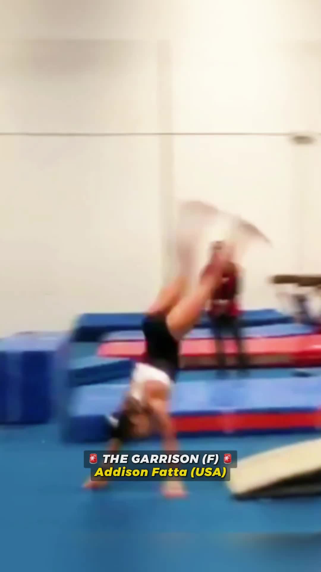 Rate this rare mount from 1-10 😲