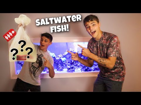 Watch Paul’s face light up with new fish!