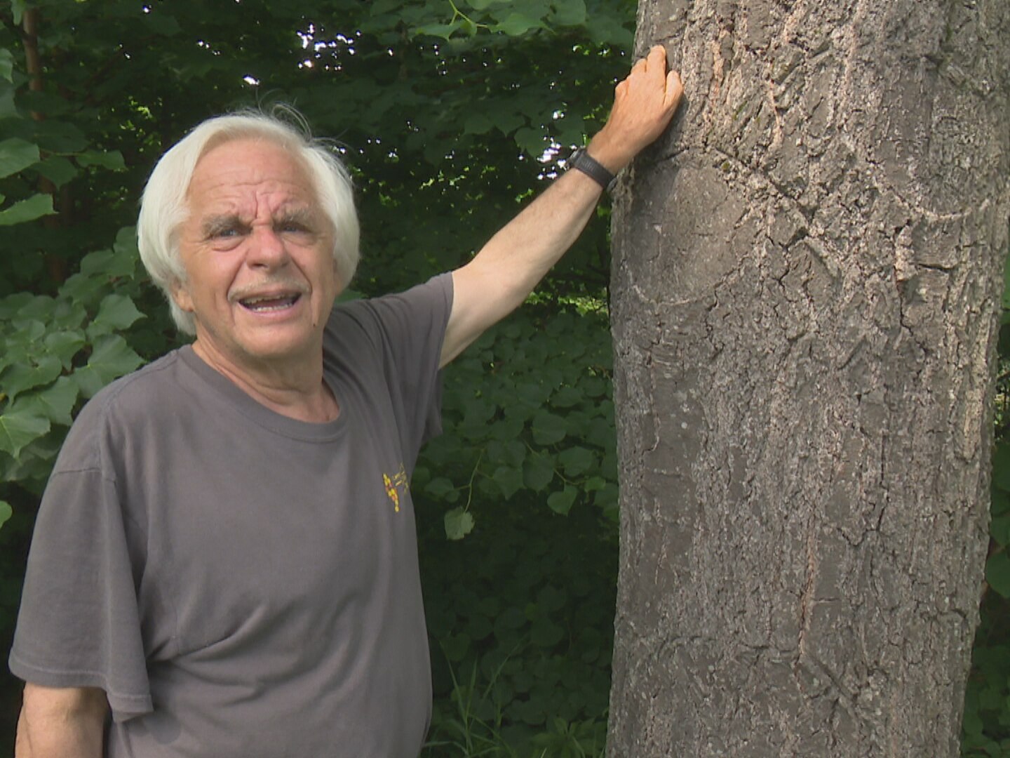 L’apiculteur John Forest s’éteint à 75 ans