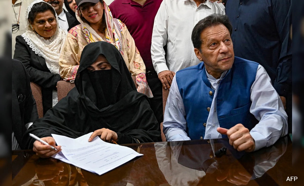 'Politically motivated': Imran Khan, Bushra Bibi challenge 17-year jail ...