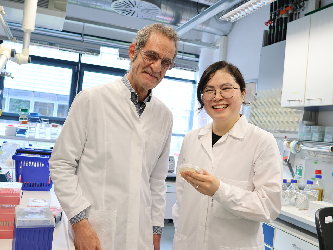 Fungus disarms bark beetle chemical shields by converting their plant ...