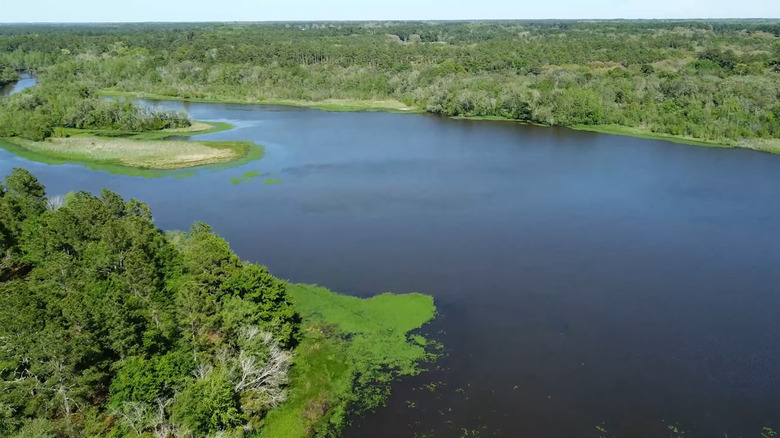 Georgia's scenic city near the Florida border has lakes, camping, and ...