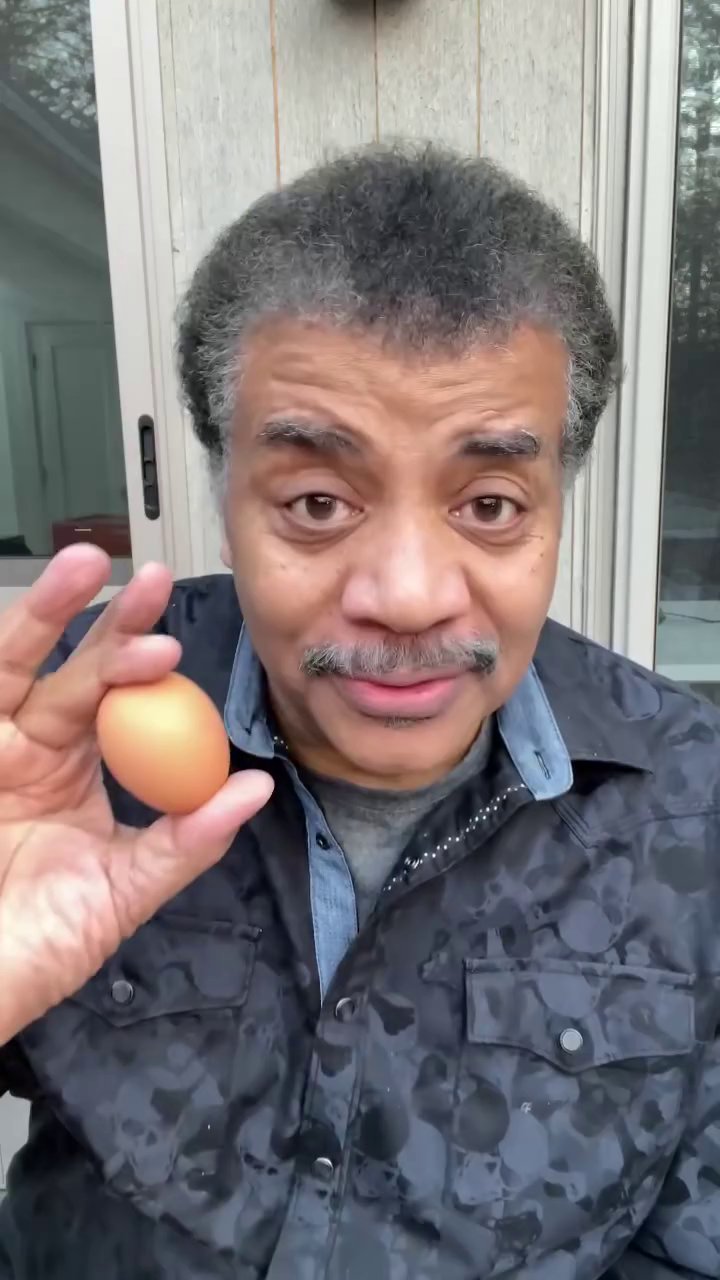 Which came first: chicken or egg?