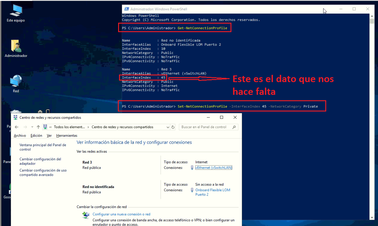 Windows bloquea accesos locales al creer que es red pública: guía completa