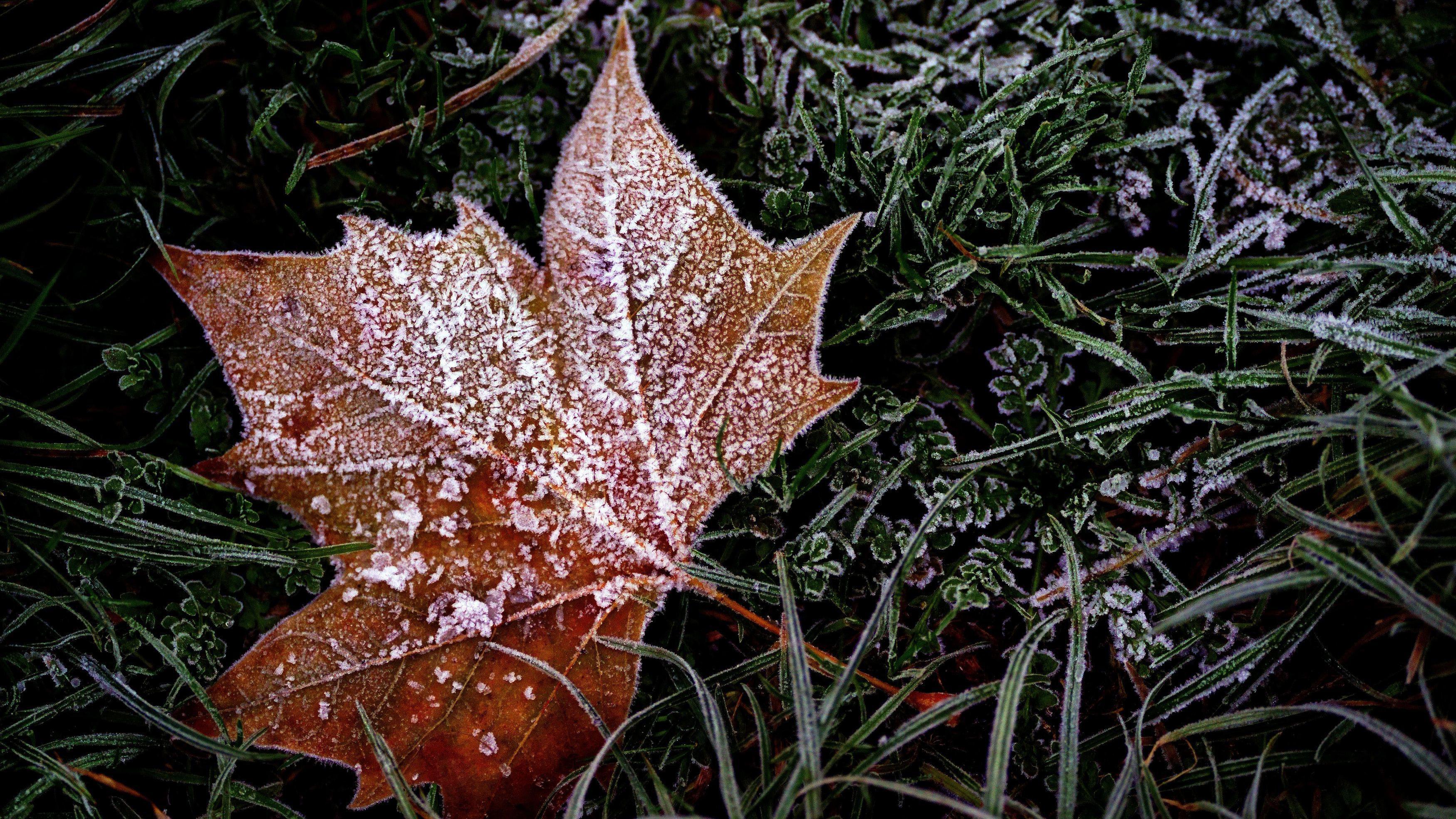 Drivers warned of frost on roads overnight