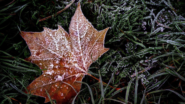 Drivers warned of frost on roads overnight