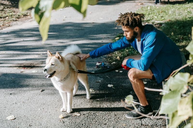 8 dog breeds that treat every stranger with suspicion at first