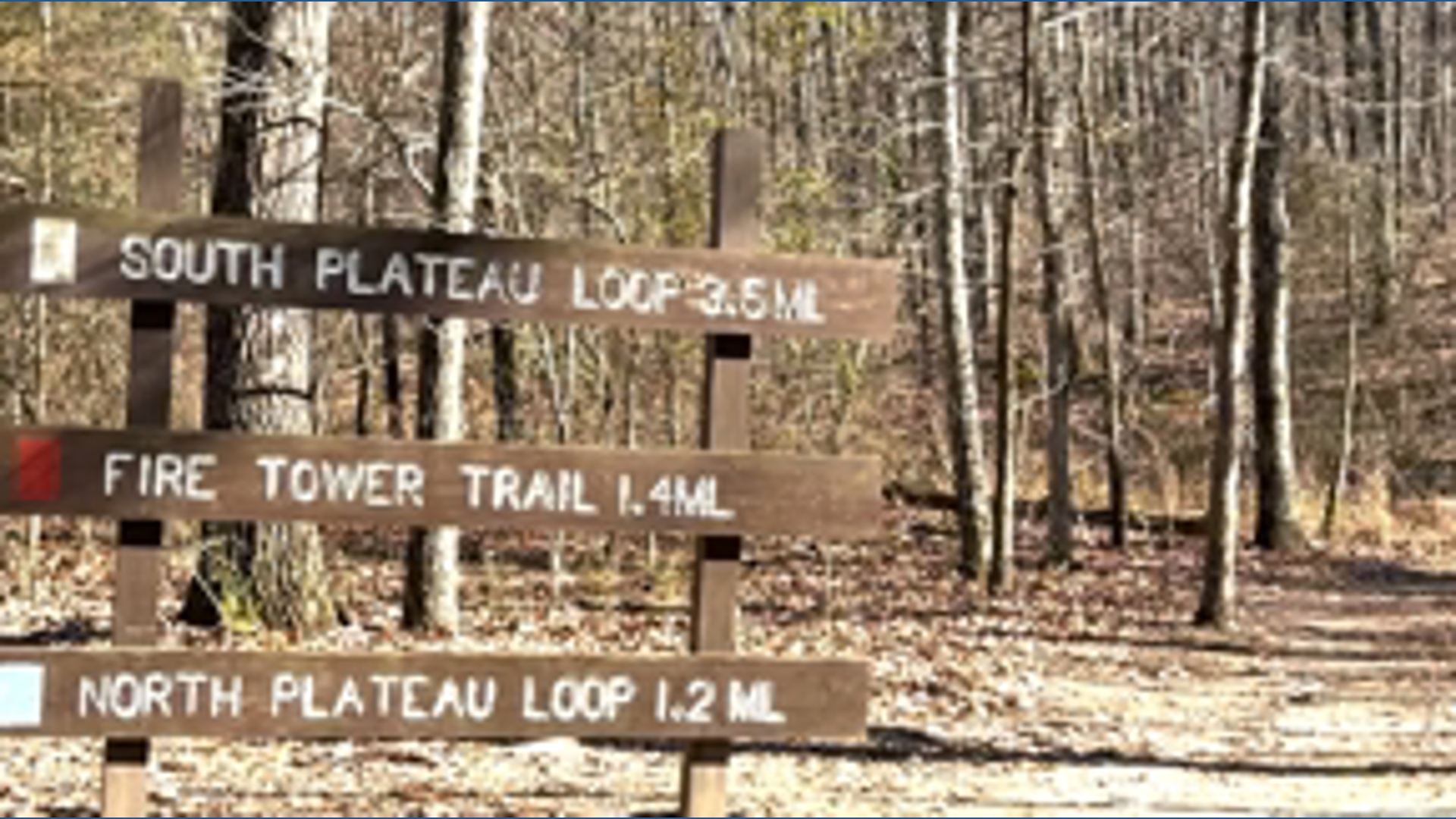 Check out the view! Alabama State Parks offer "First Day Hikes" on New ...