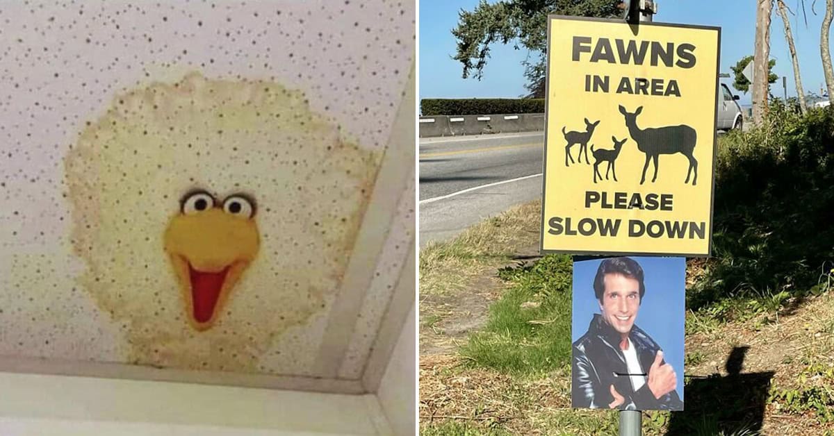 35 hilarious examples of mild vandalism that actually improved things