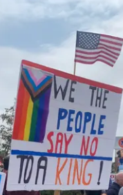 Joliet's No Kings rally violence: Woman with amputated arm accused of ...