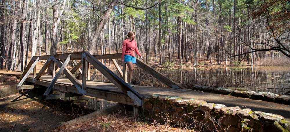 Mission Tejas State Park hosts New Year’s Day hikes