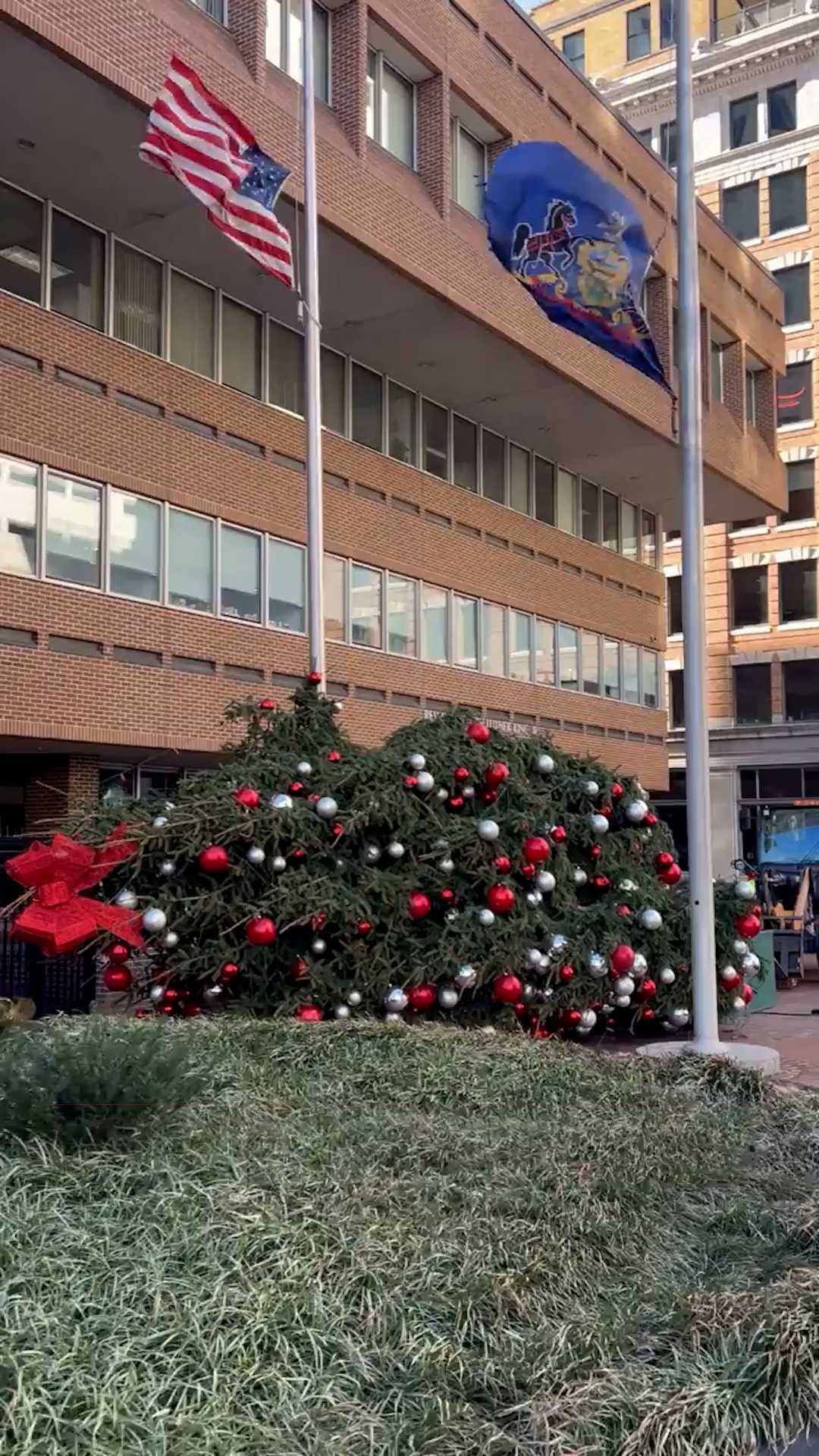High winds force crews to take down city Christmas tree