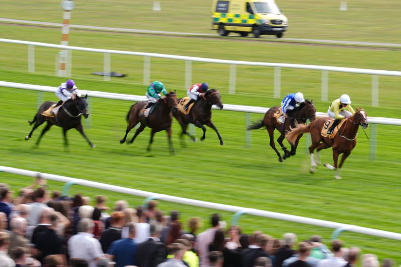 'He looks a fine staying prospect' – Jason Heavey's horse racing tips ...