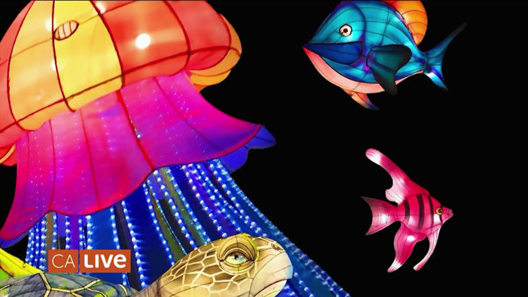 Ring in 2026 at these Bay Area New Year's events