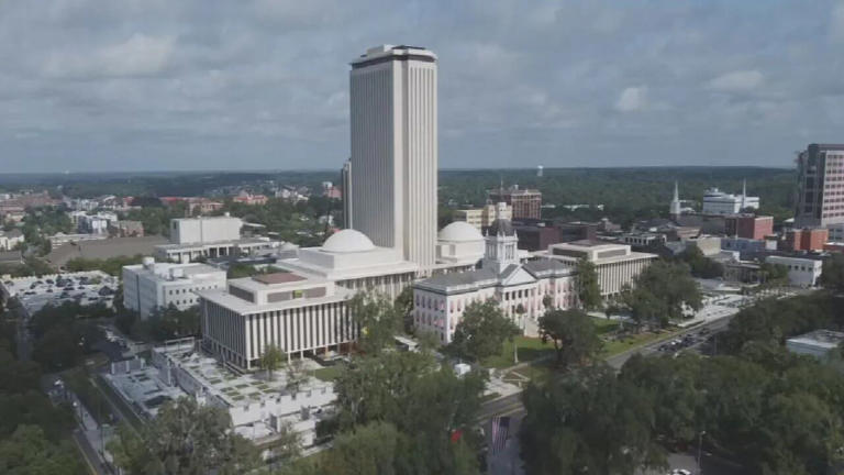 Over 100 new Florida laws set to begin this week