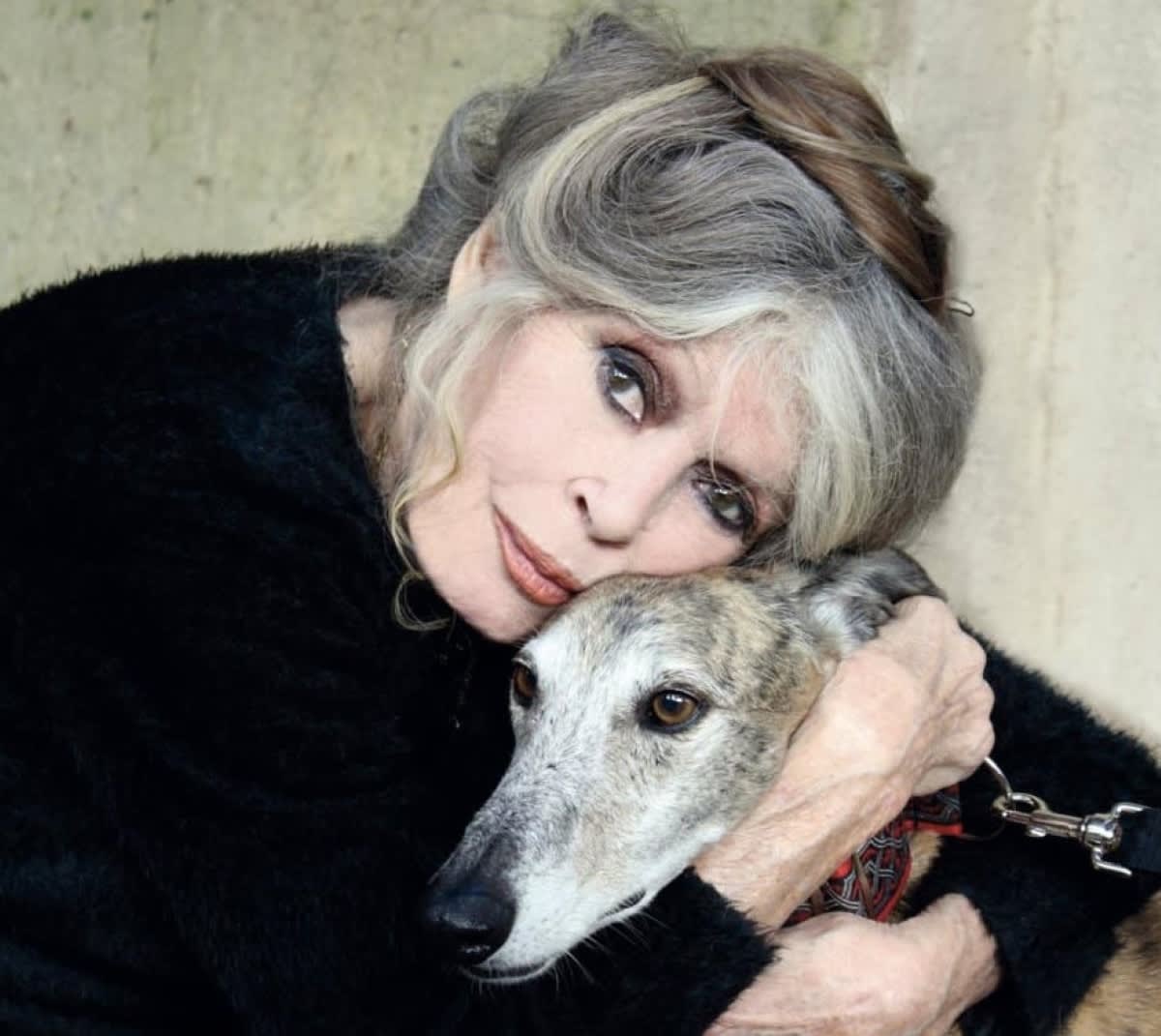 10 photos of Brigitte Bardot: How quitting film turned a global sex ...