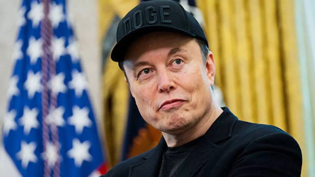 'Hotness should get an exemption': Elon Musk makes bizarre comment over ...