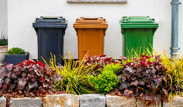 Repak reveals exactly how much waste was generated during the Christmas ...