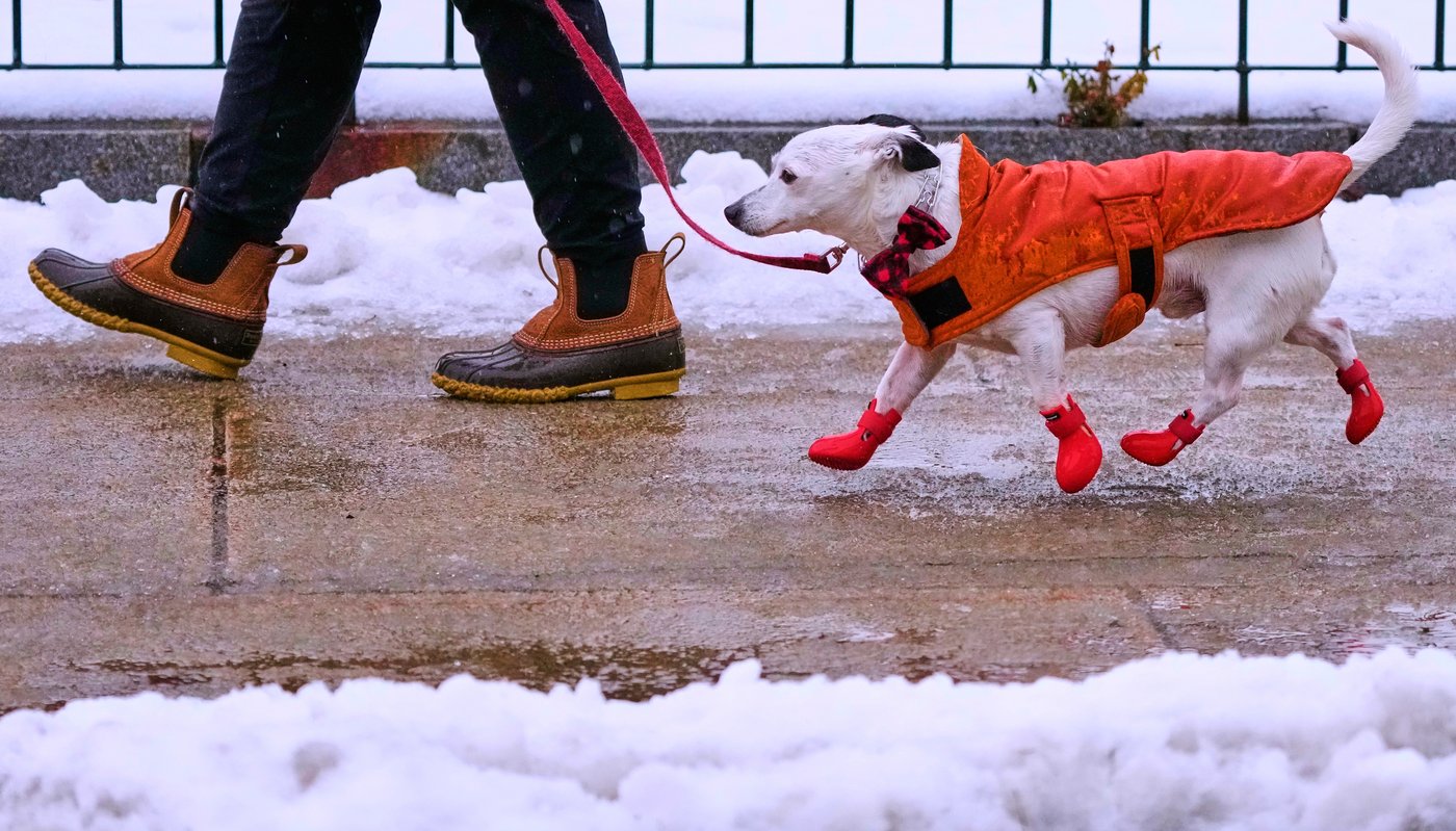 A bomb cyclone brings blizzards to the Midwest before turning east