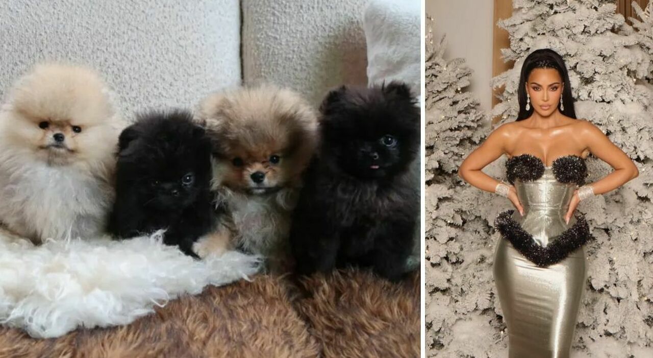 Kim Kardashian attaccata dagli animalisti: ai quattro figli ha regalato ...