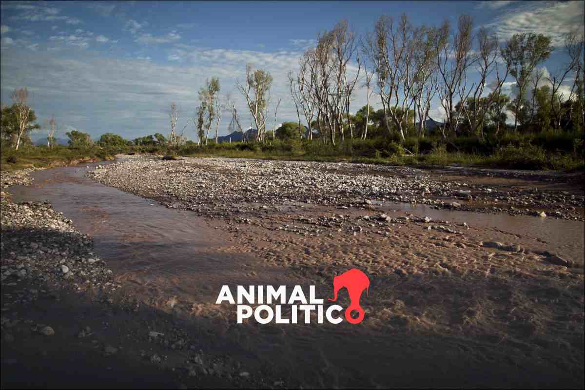 Plan integral de justicia ambiental y social: más de 2 mil mdp para ...
