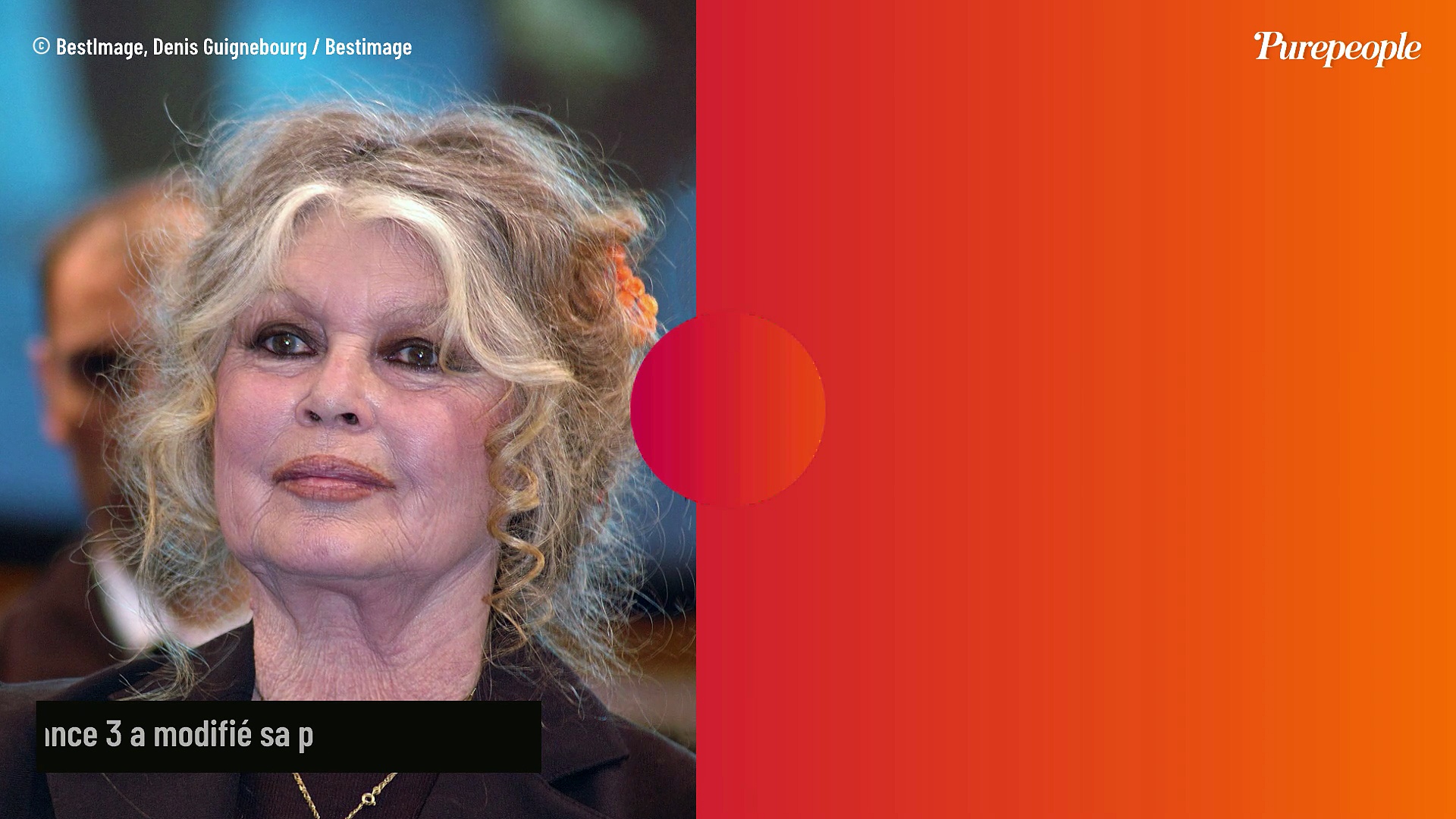 France 3 annule sa soirée en hommage à Brigitte Bardot « dans l'intérêt ...