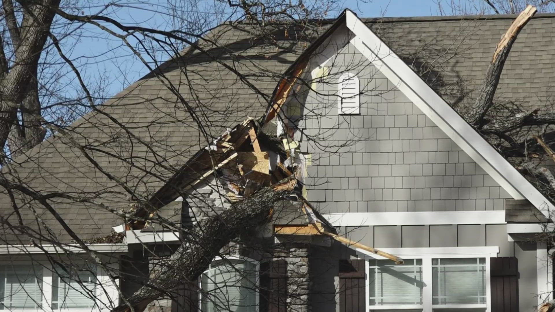 No one hurt after tree falls on Knoxville home