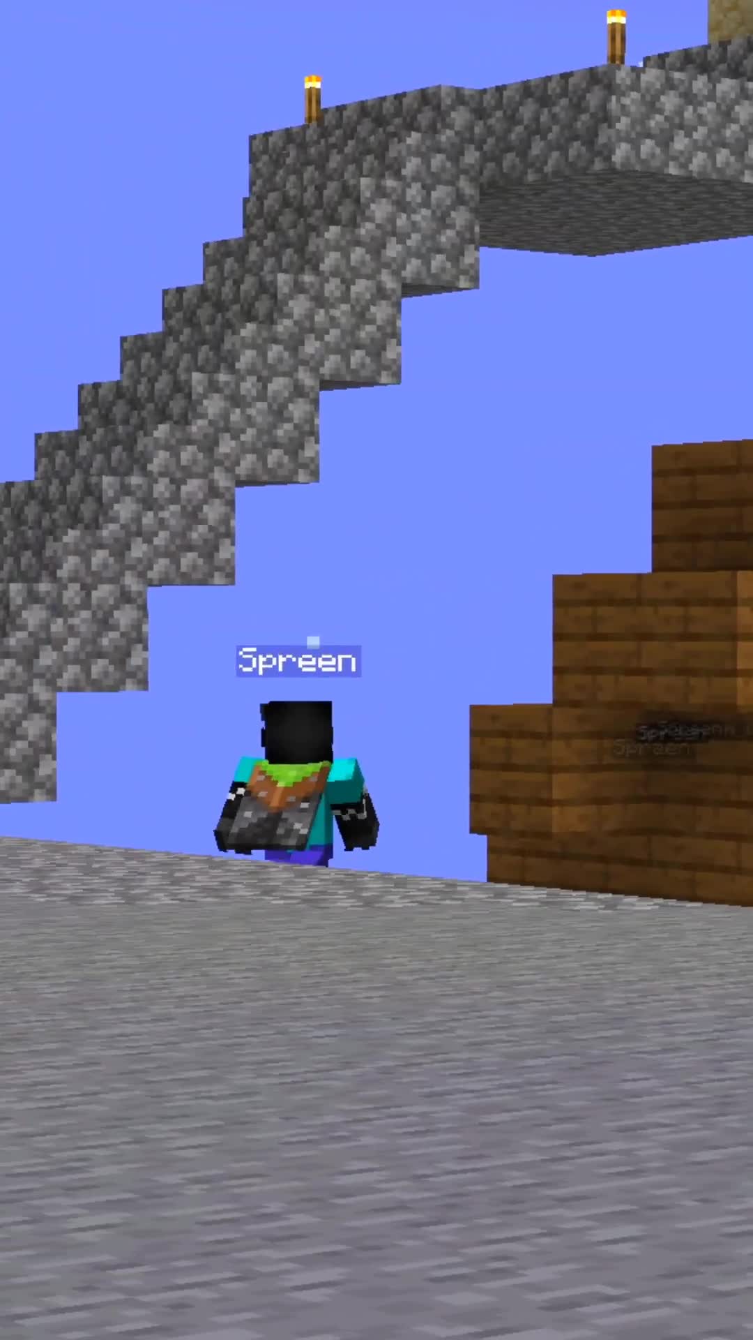 Este jugador acabó con forma de gato en Minecraft 😎👍