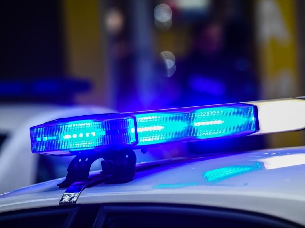 Barking dogs scare off holiday intruders, police say