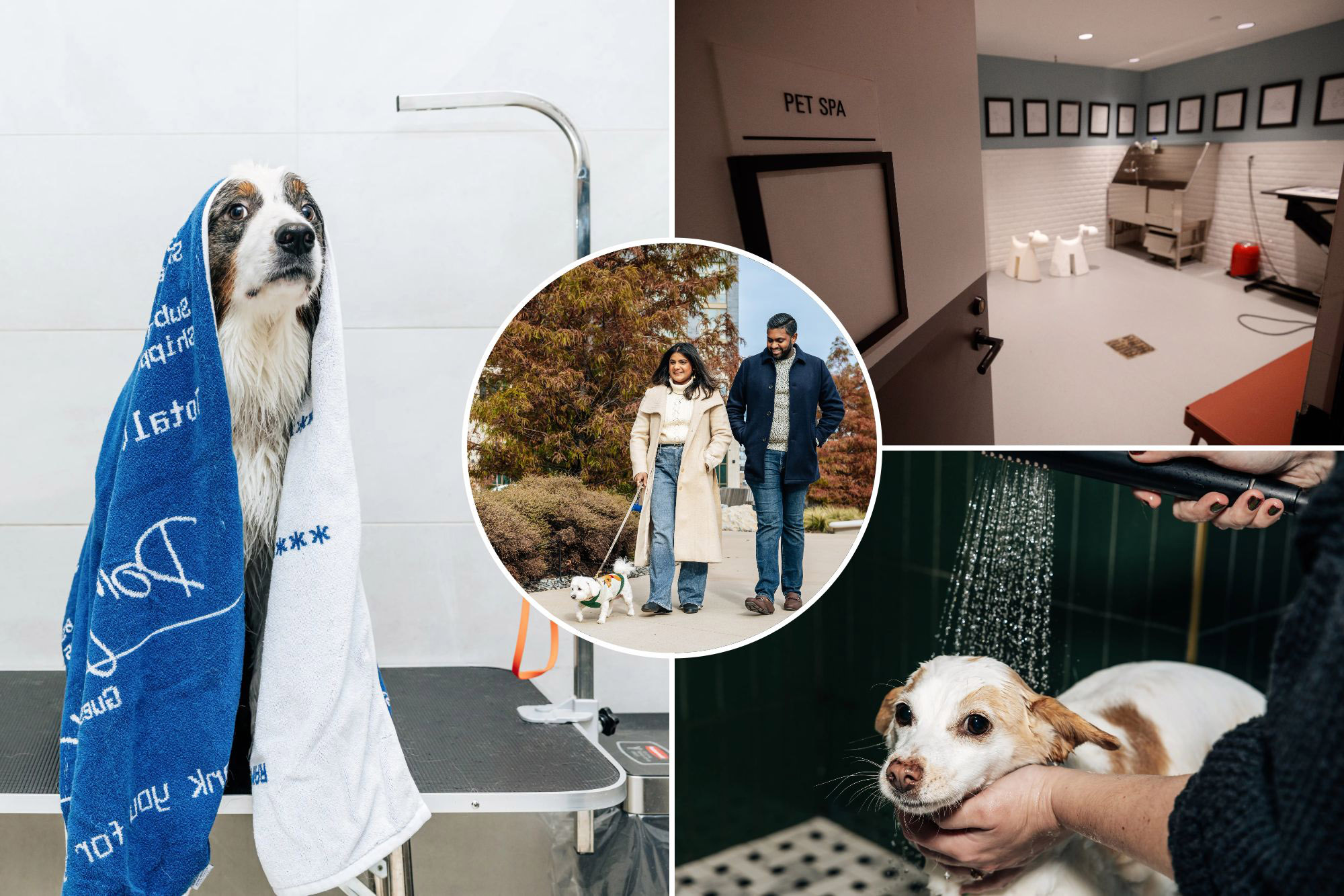 NYC empty-nesters and tenants without kids are seeking homes with pet ...