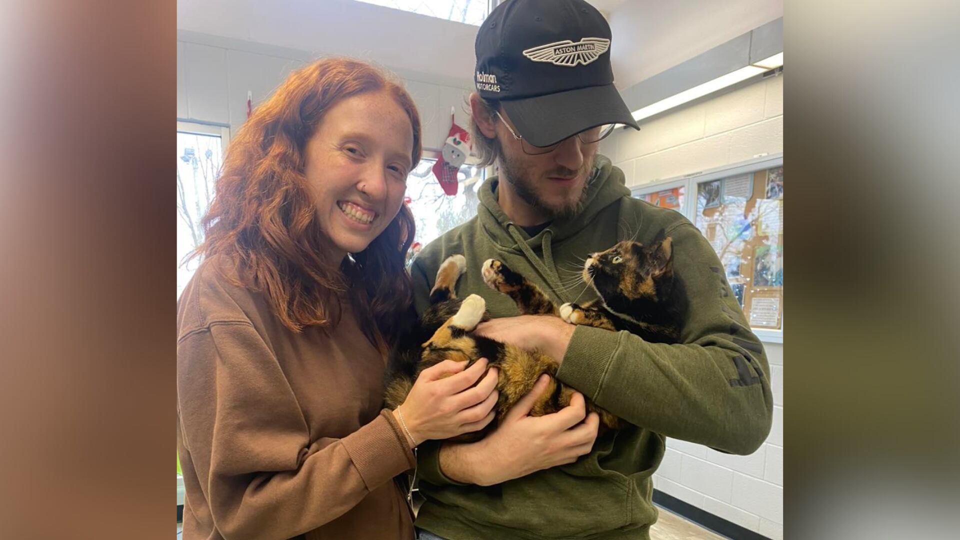 Woman drives to Lexington from Florida to reunite with microchipped cat ...