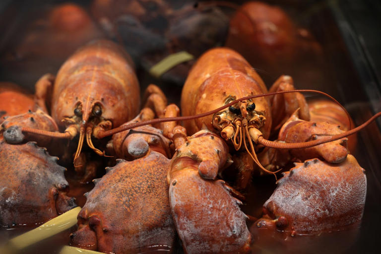 The case of the $400,000 Massachusetts lobster heist