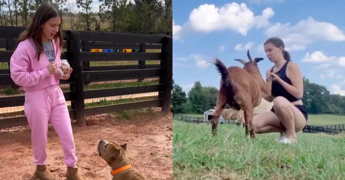 From Netflix star to farm life: How Millie Bobby Brown built a home in ...