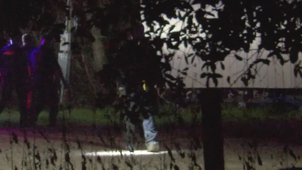 Rooster fighting ring arrest in Crosby