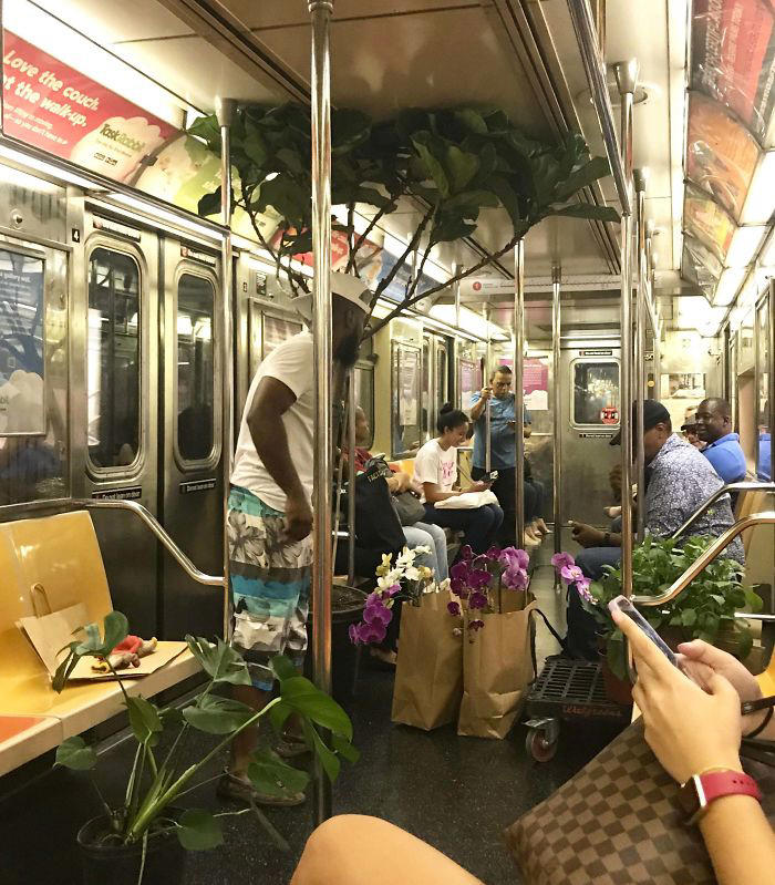41 Funny and Strange Things Spotted on the Subway