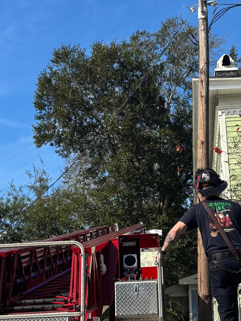 Savannah police respond to man who has been in tree for several hours