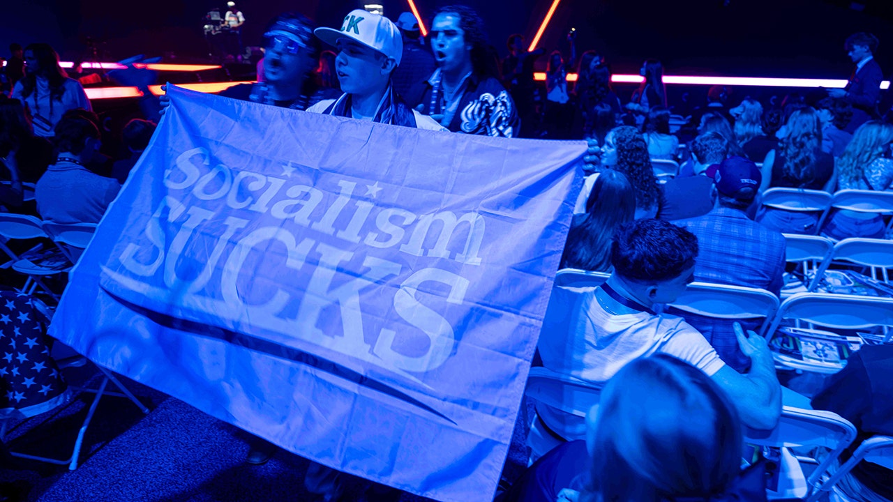 Republicans risk losing young men to left's affordability message ...