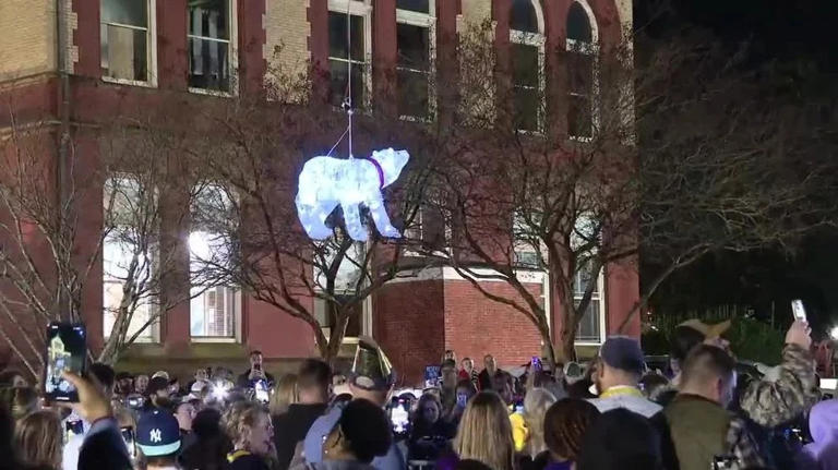 New Year's Eve wild and unique celebrations you'll only in North Carolina