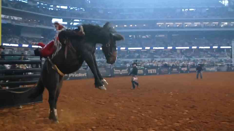 No saddle, no mercy - just hang on