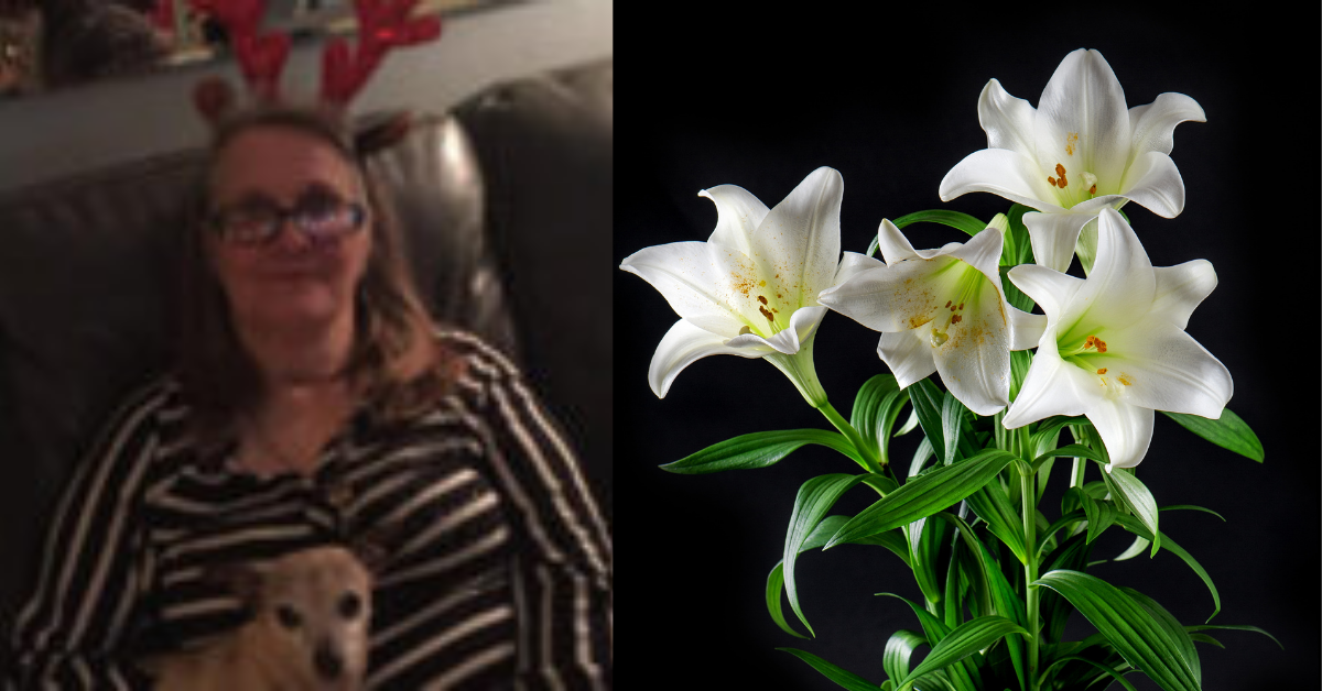 Jody Zengota, 62, of Racine - Obituary